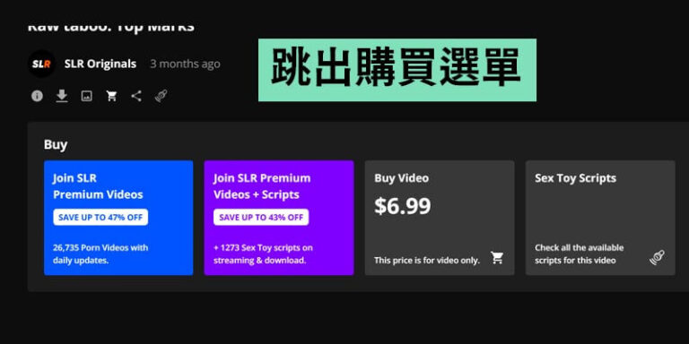 為何要用 SexLikeReal 看 VR AV? SLR註冊與購買分析與心得! - avchickenpro.com