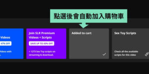 為何要用 SexLikeReal 看 VR AV? SLR註冊與購買分析與心得! - avchickenpro.com